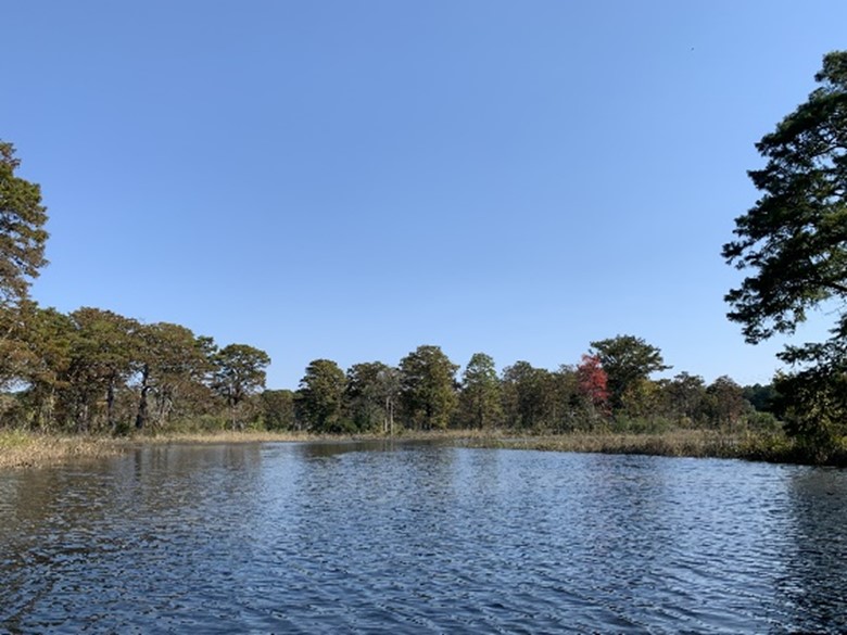 Pronóstico de pesca en los ríos de marea de 2025 Virginia | Virginia DWR