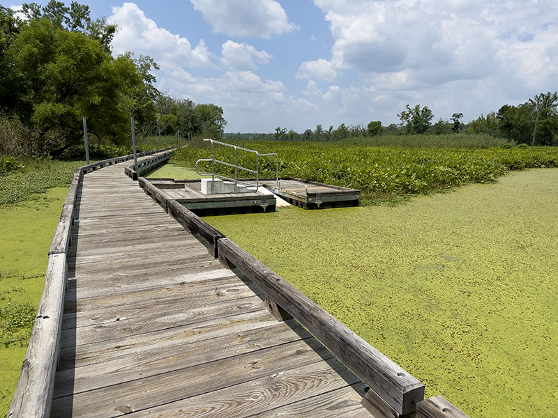 Parque Henricus/Área de Conservación Dutch Gap | Virginia DWR